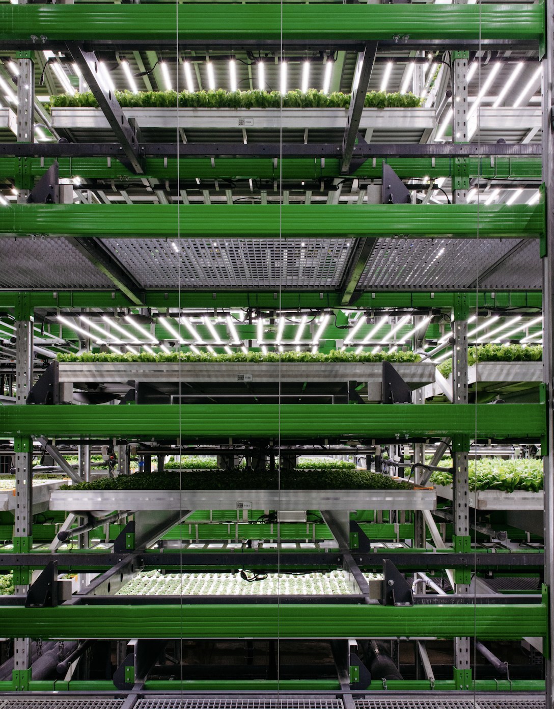 Vertical Farming Company Bowery Raises $300M - DailyAlts
