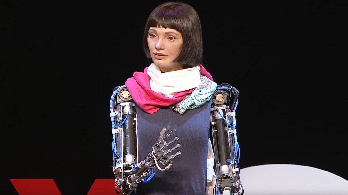 Ai-Da, Humanoid And Artist, Detained By Egyptian Security - DailyAlts