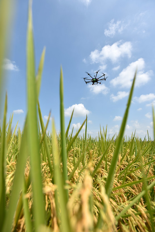 Standard RGB Cameras And AI Enable Precision Agriculture - DailyAlts